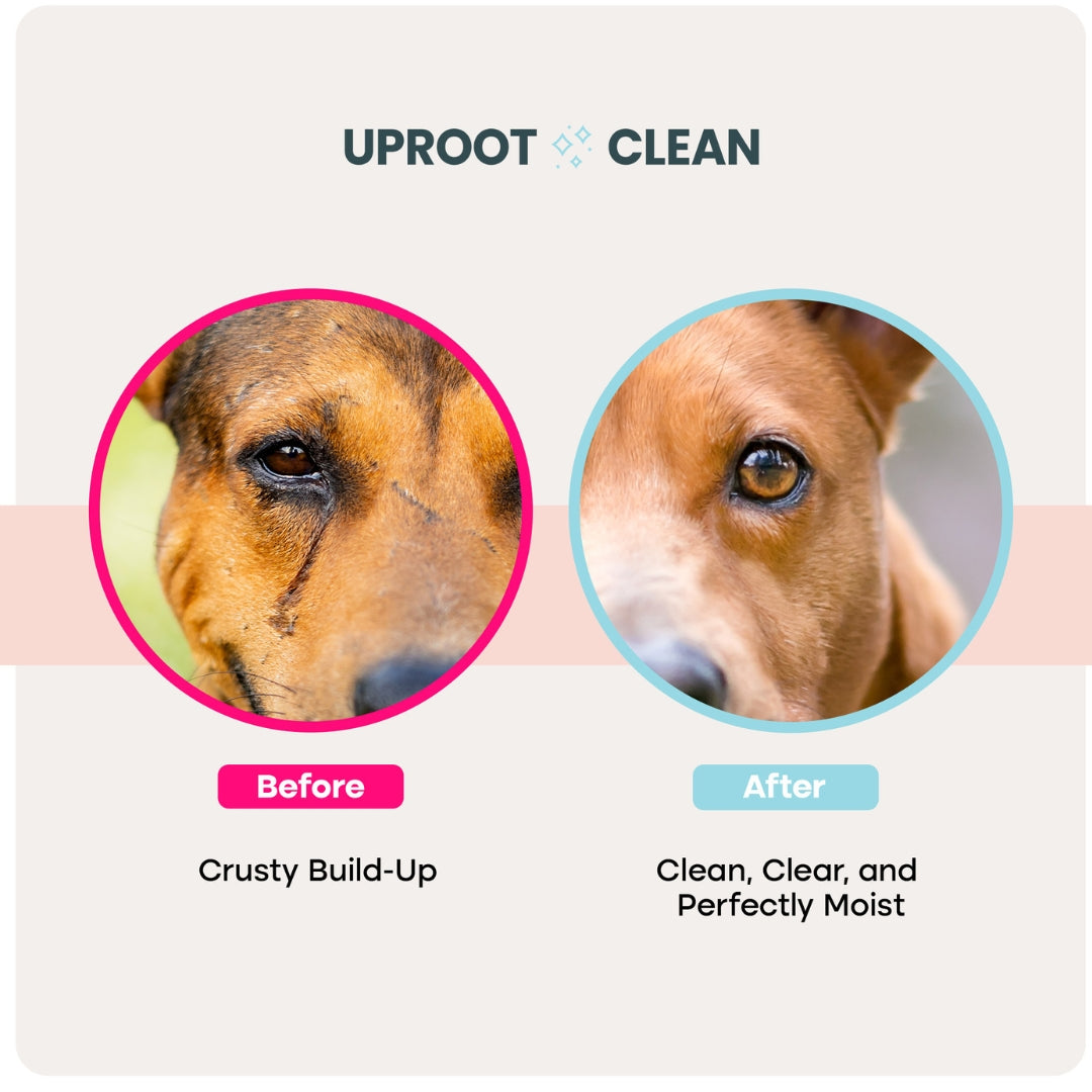 Uproot Clean - Pet Hair Removers