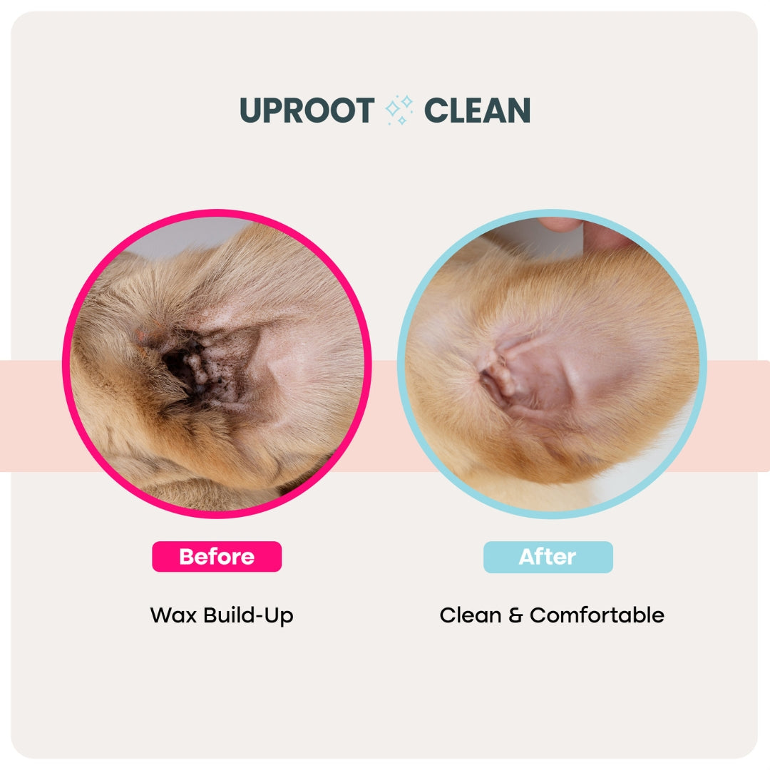 Uproot Clean - Pet Hair Removers