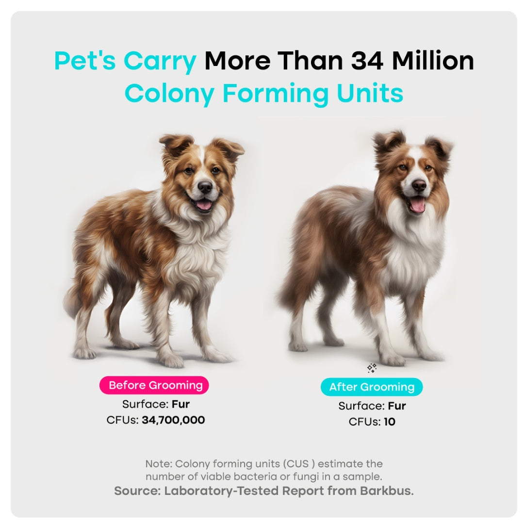 Lint Cleaner and Pet Hair Remover Tool | Uproot Clean