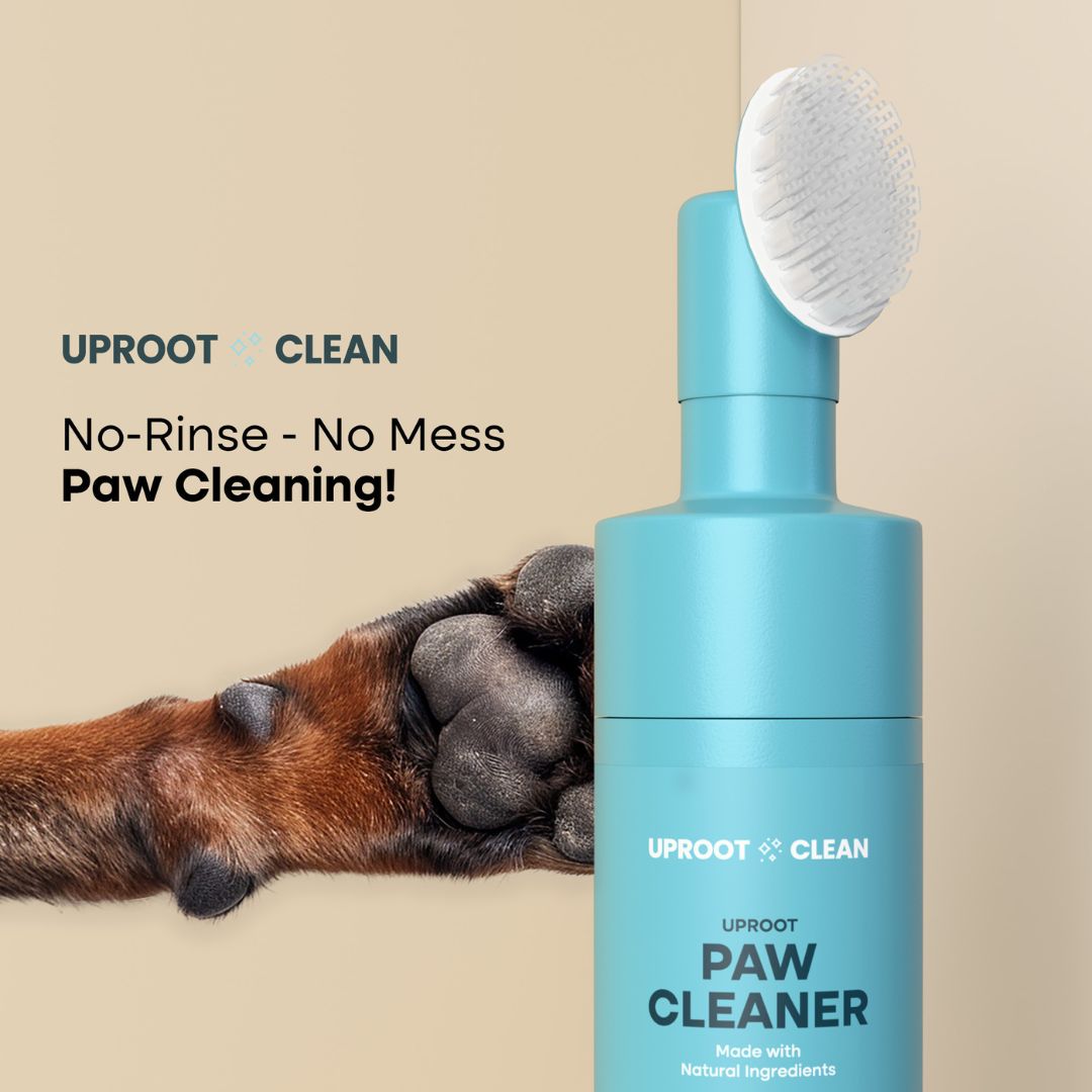 Uproot Paw Cleaner - Rinse-Free Foam Cleanser – Uproot Clean
