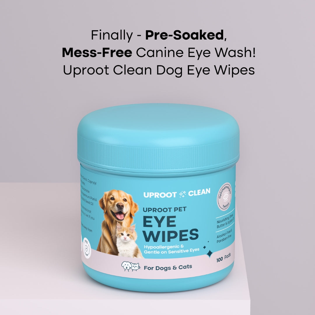 Uproot Eye Wipe Pads – Uproot Clean
