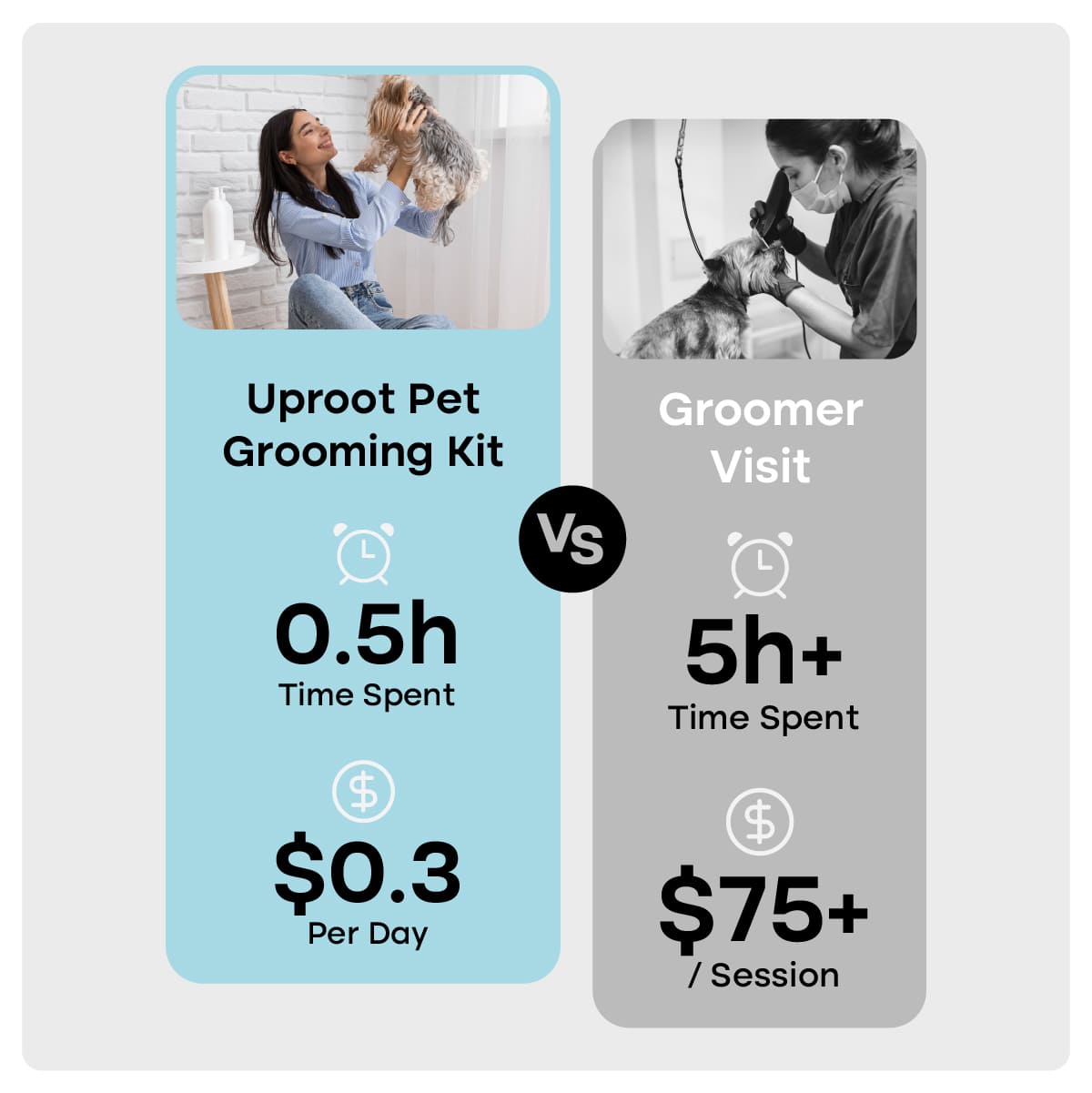 Professional Pet Grooming Kit | Uproot Clean