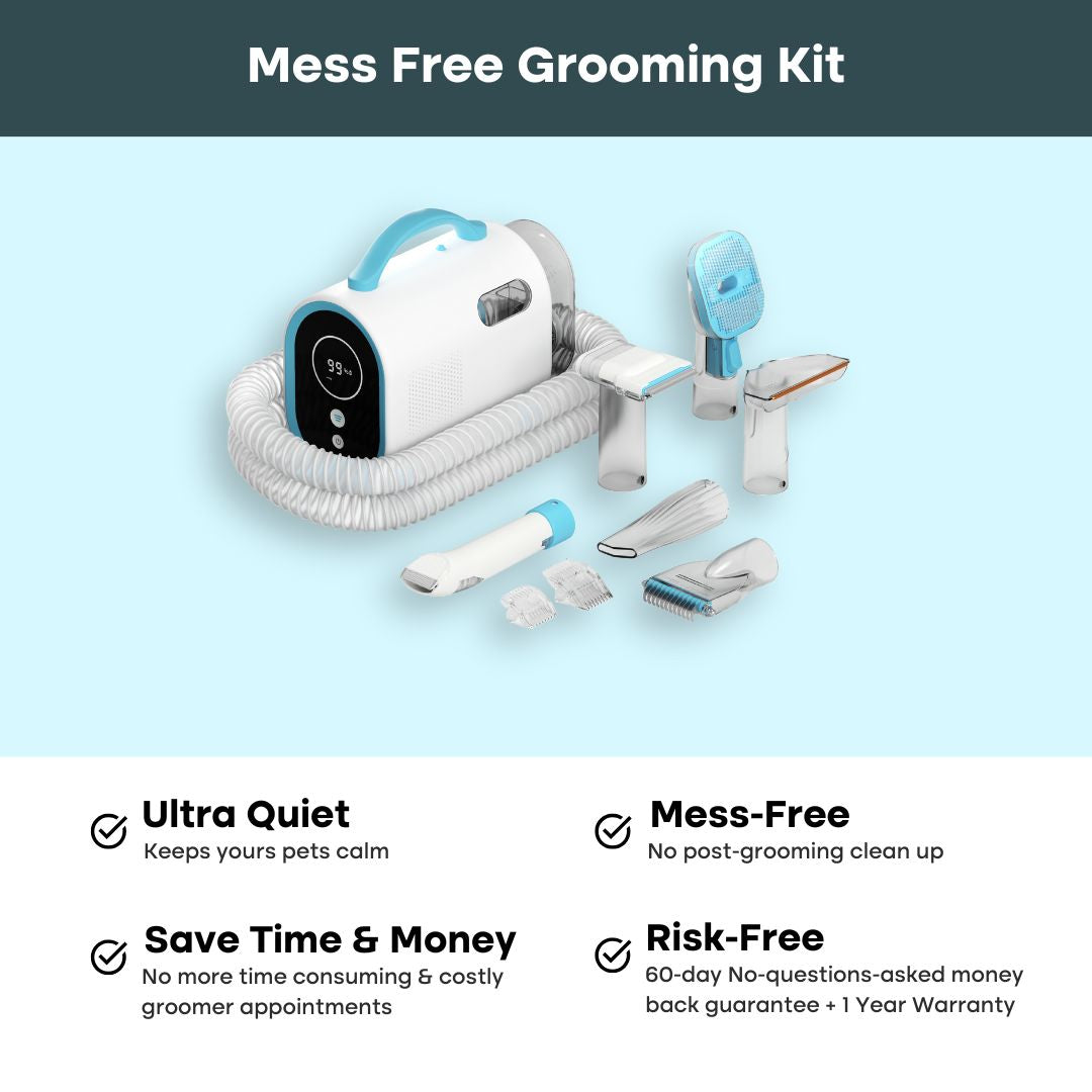 The Everything Uproot Bundle – Uproot Clean