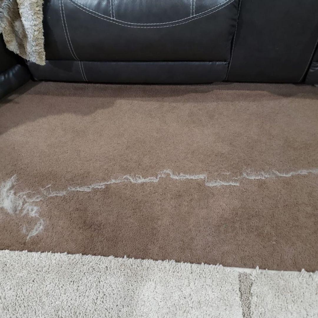 The Everything Uproot Bundle – Uproot Clean