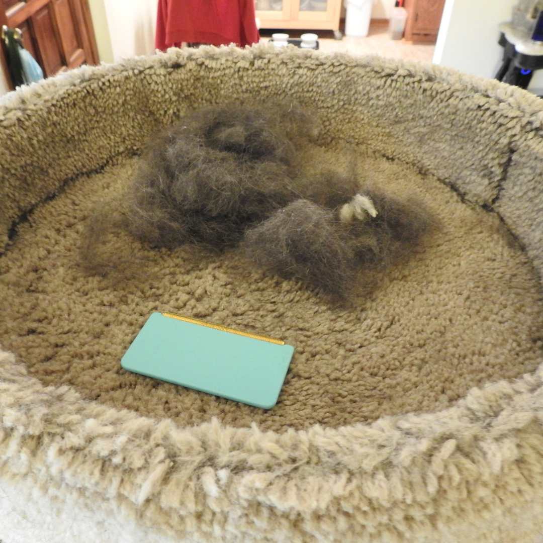 The Ultimate Uproot Clean Bundle - All Cleaners & Deshedder