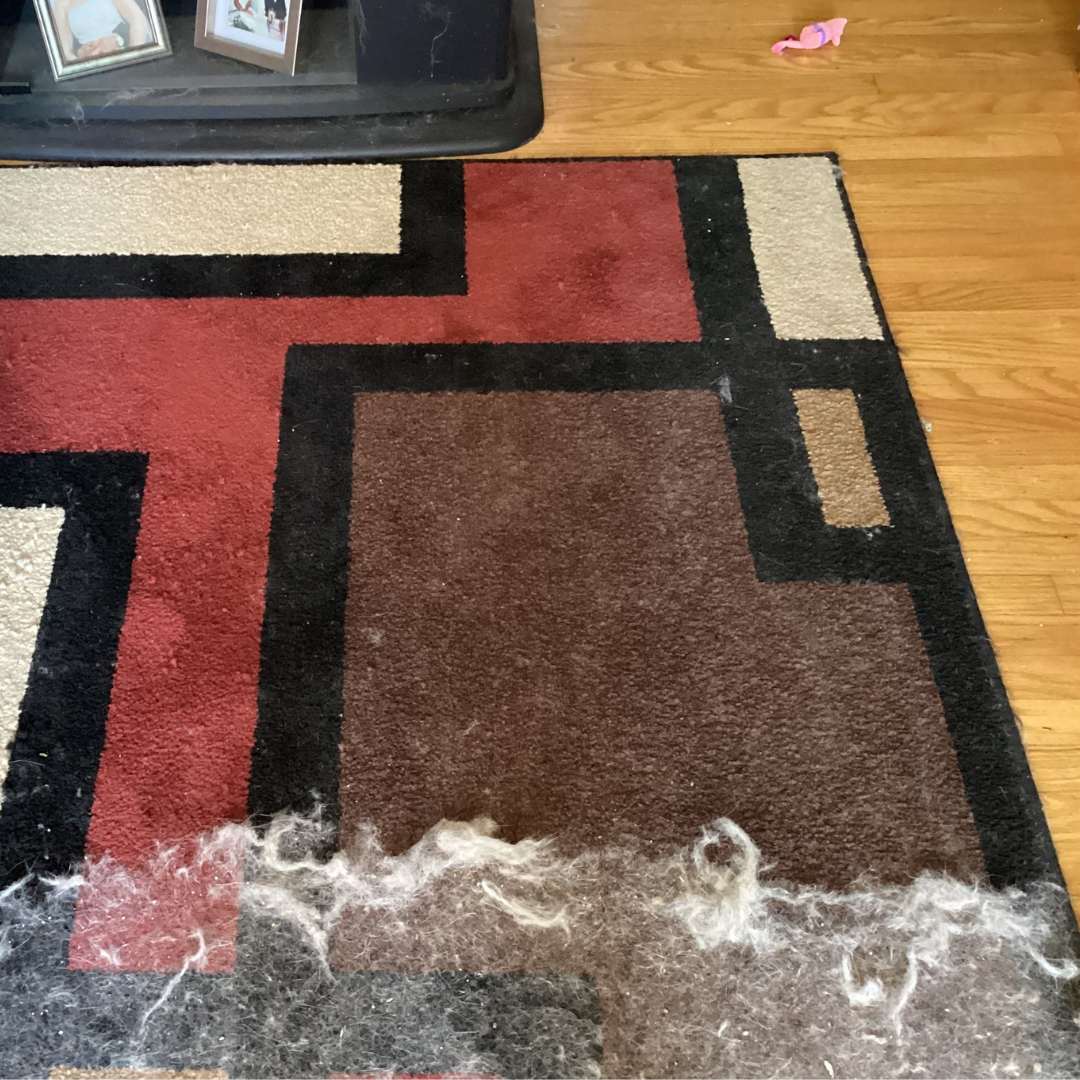 Uproot Cleaner Pro™ - Pet Hair Remover