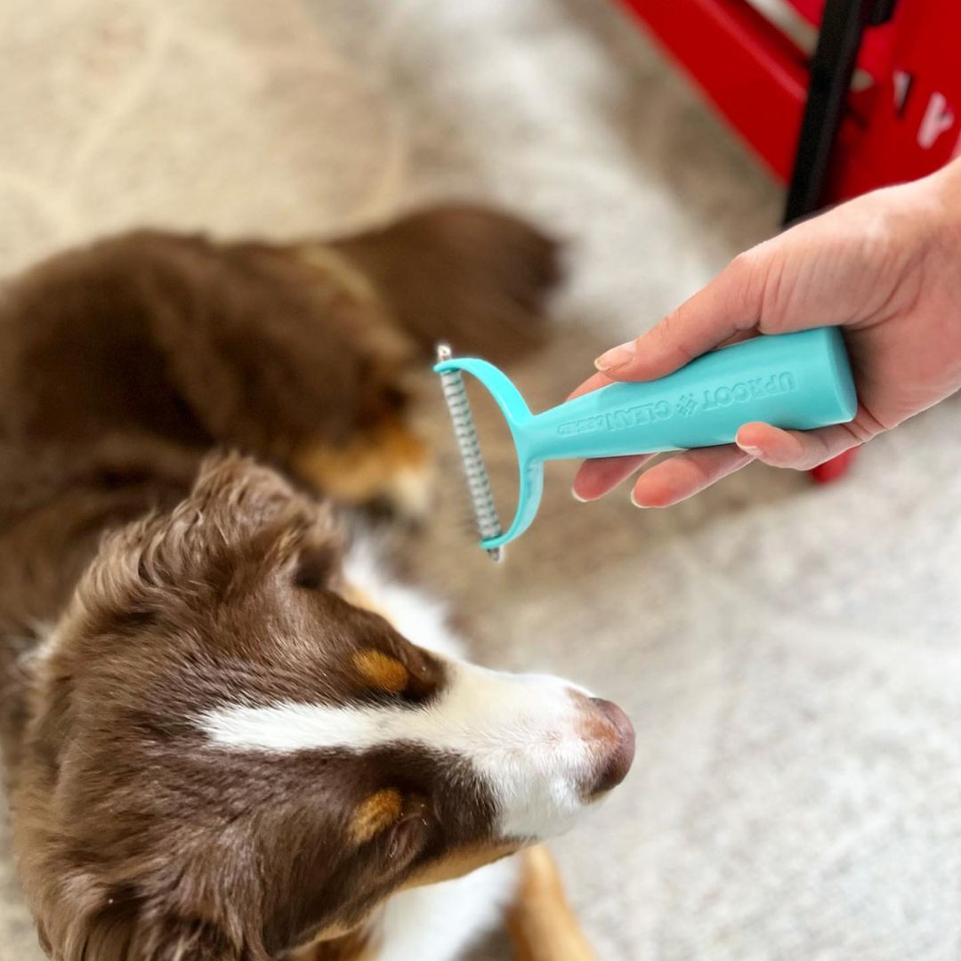 Uproot Cat & Dog Brush™ | Uproot Clean